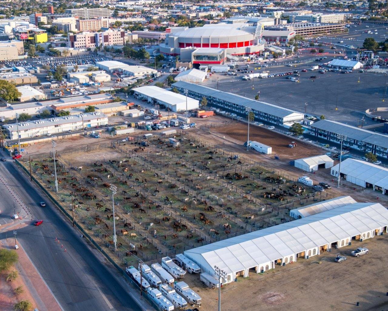 Wrangler NFR - Day 8 | The Official NFR Experience