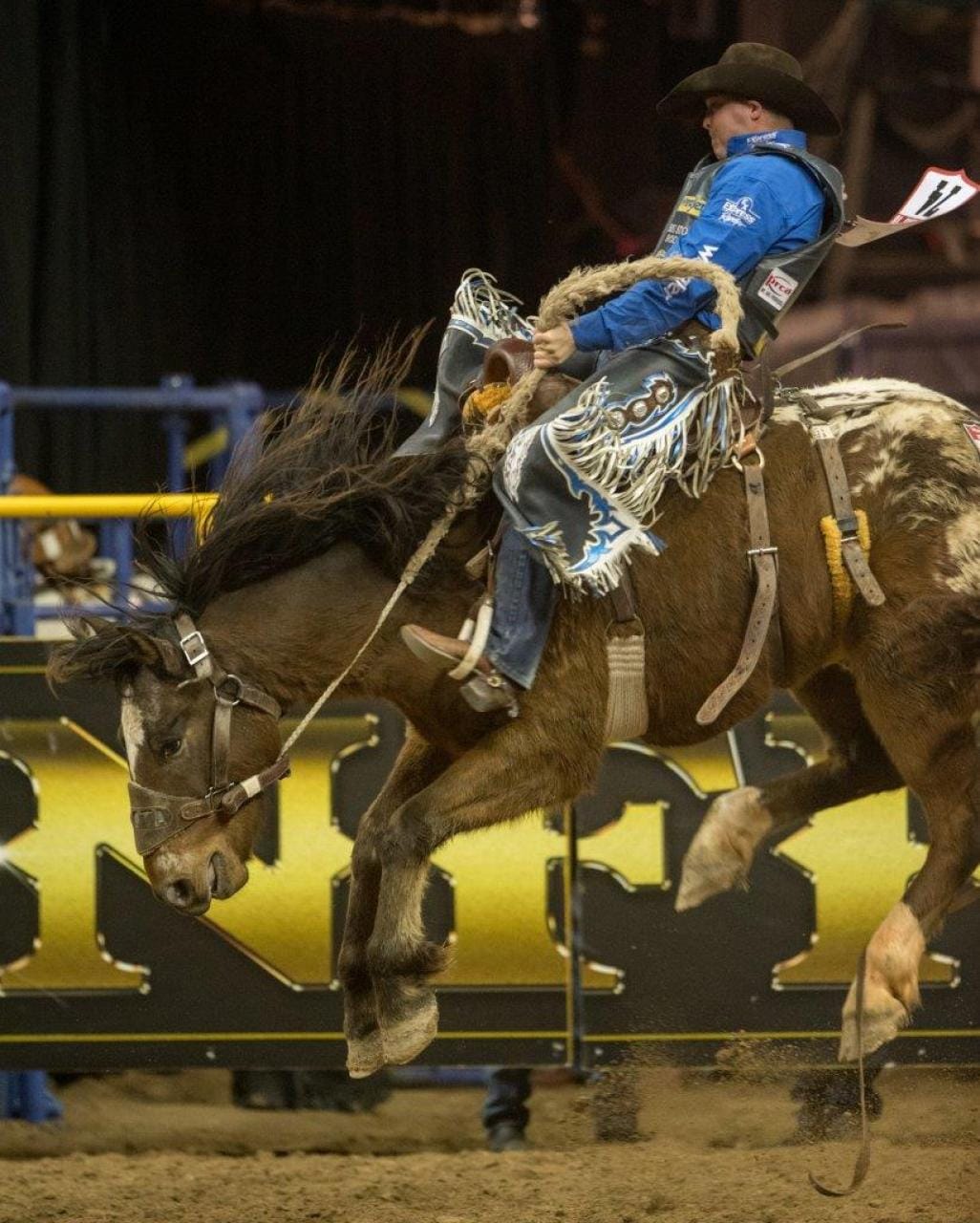 Wrangler NFR - Day 2 | The Official NFR Experience
