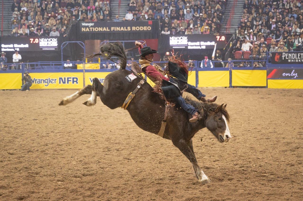 Results The Official NFR Experience